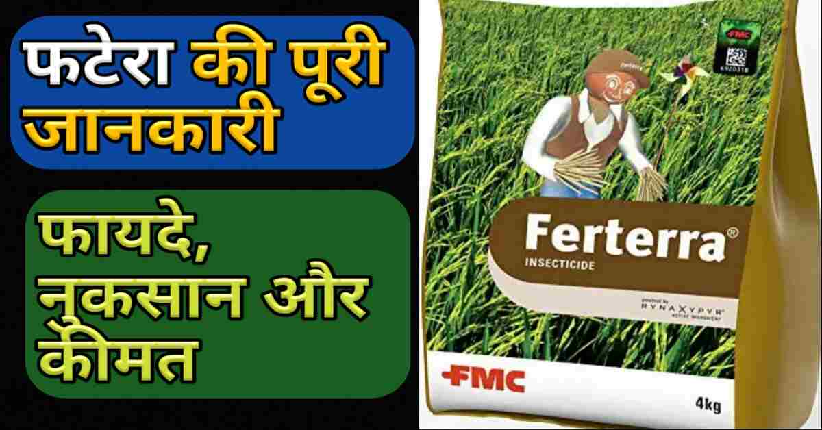 Fatera Fertilizer की जानकारी FMC, Dupont, 4kg Price | Ferterra Uses ...